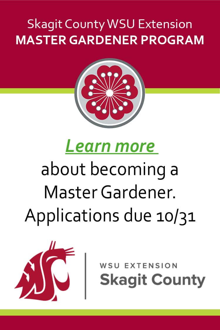 Growing Grapes – Skagit County Master Gardener Foundation