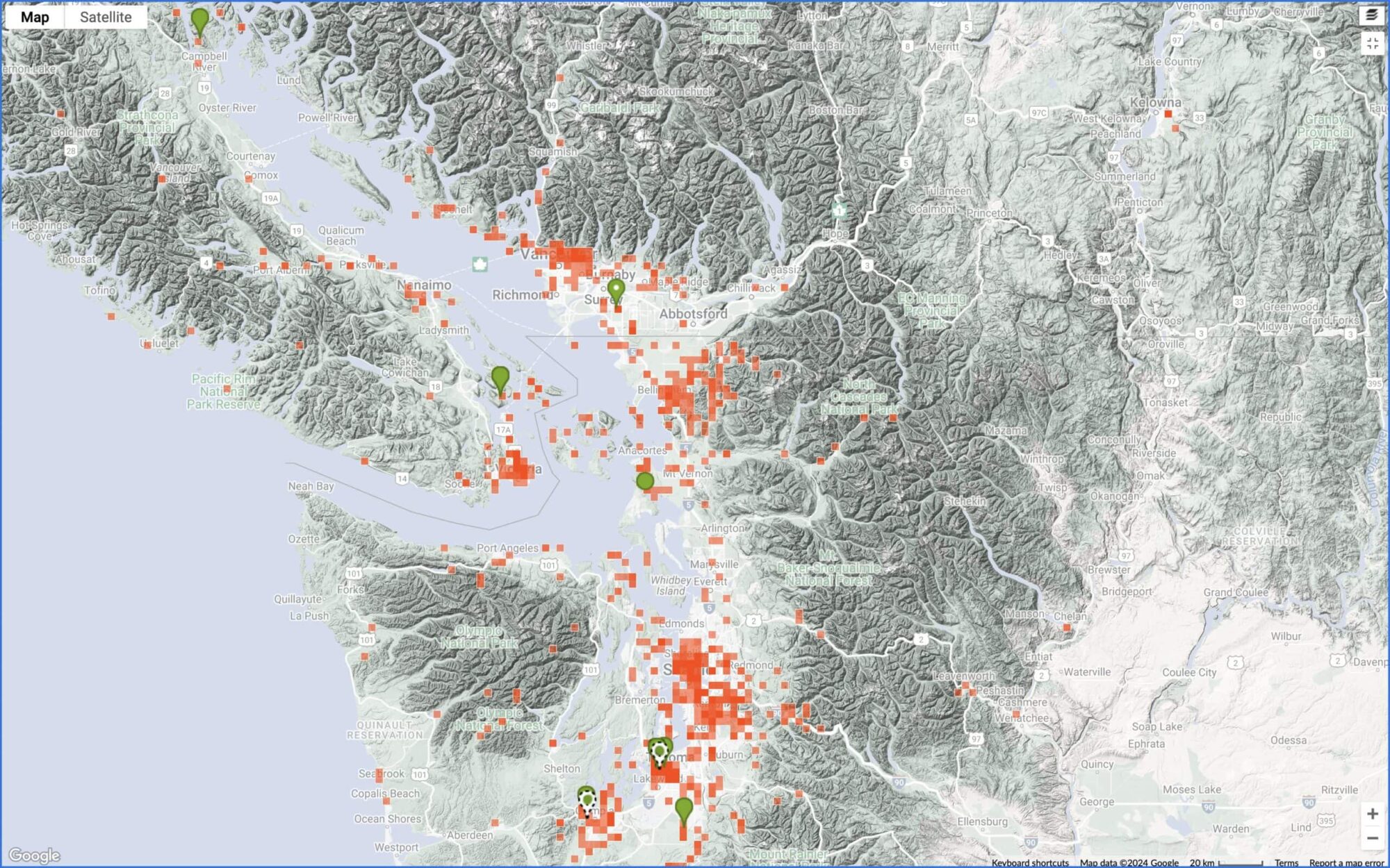 Western Redcedars – Skagit County Master Gardener Foundation